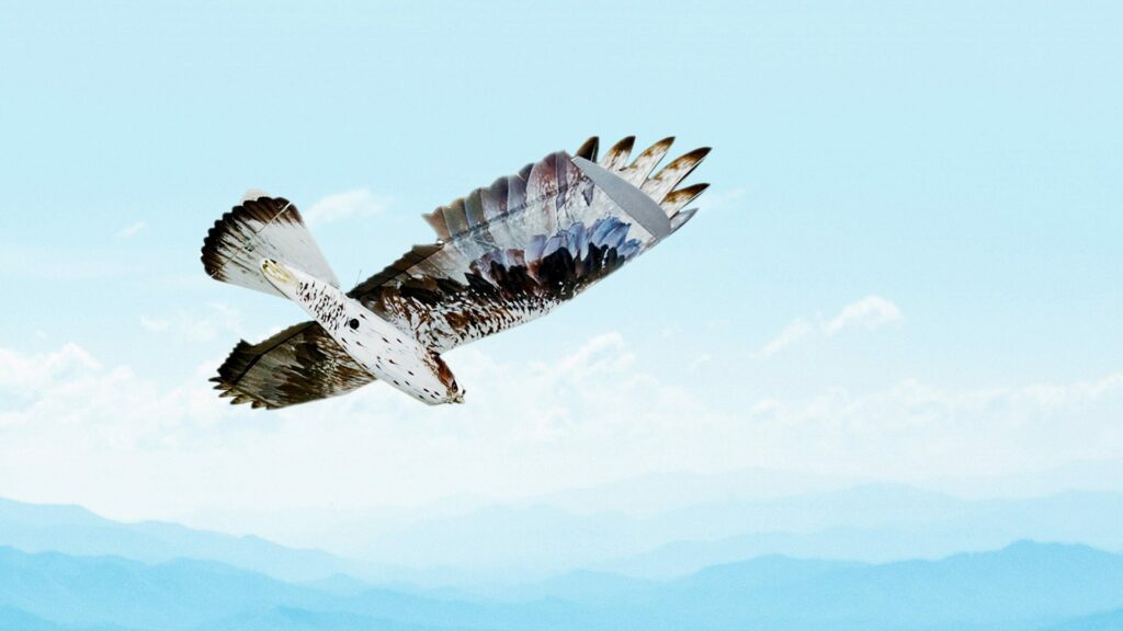 SHEPHERD-MIL: Aerial surveillance drone | ARQUIMEA