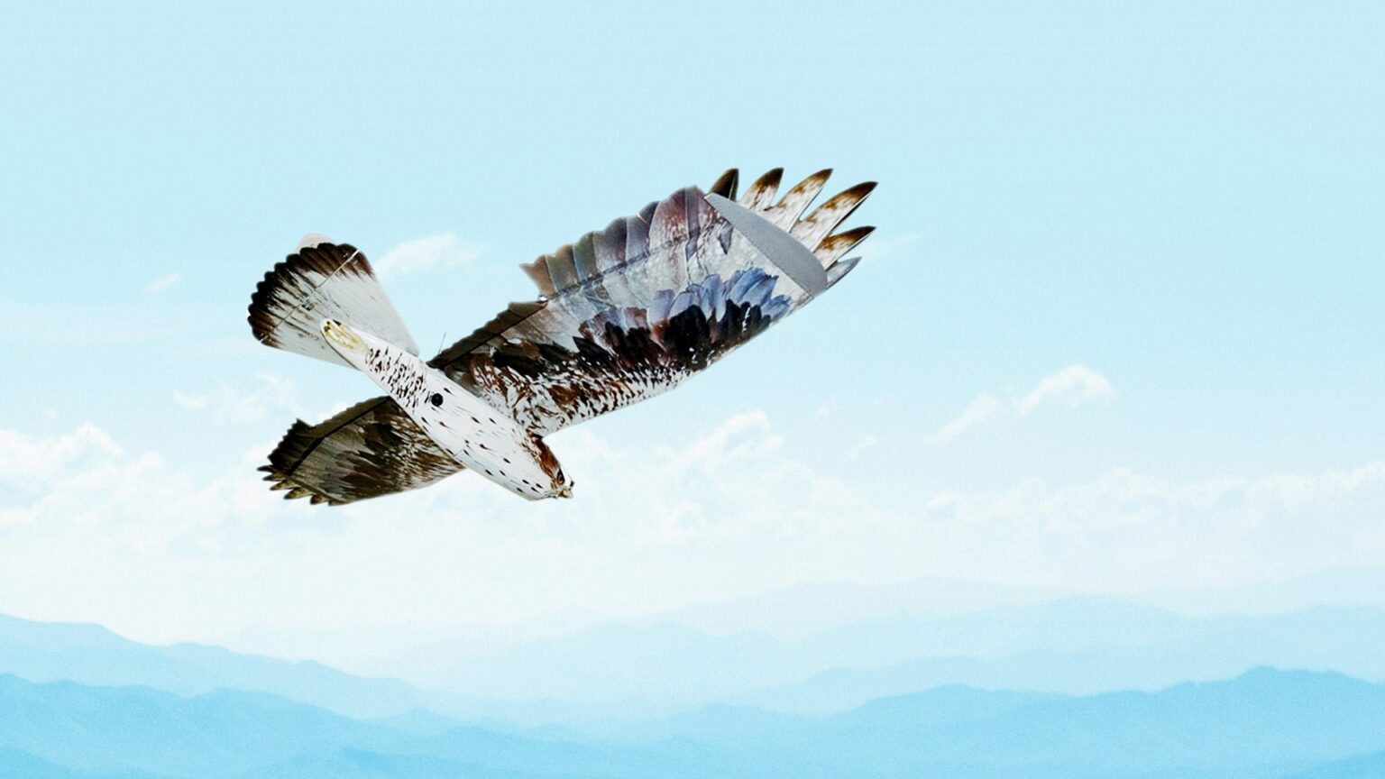 SHEPHERD-MIL: Aerial surveillance drone | ARQUIMEA