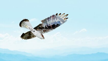 SHEPHERD-MIL: Aerial surveillance drone | ARQUIMEA